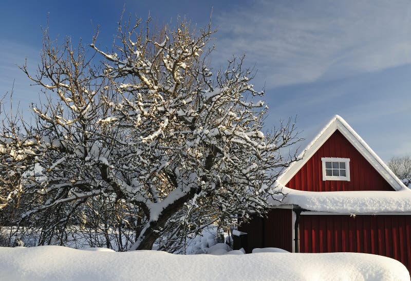 Swedish Garden Details in Winter Stock Image - Image of home, blekinge ...