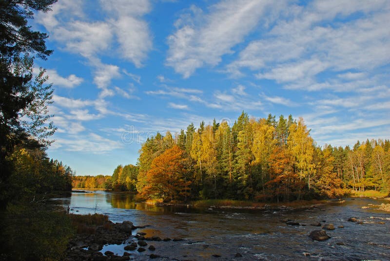 Swedish river in autumn stock photo. Image of calm, foliage - 3991952