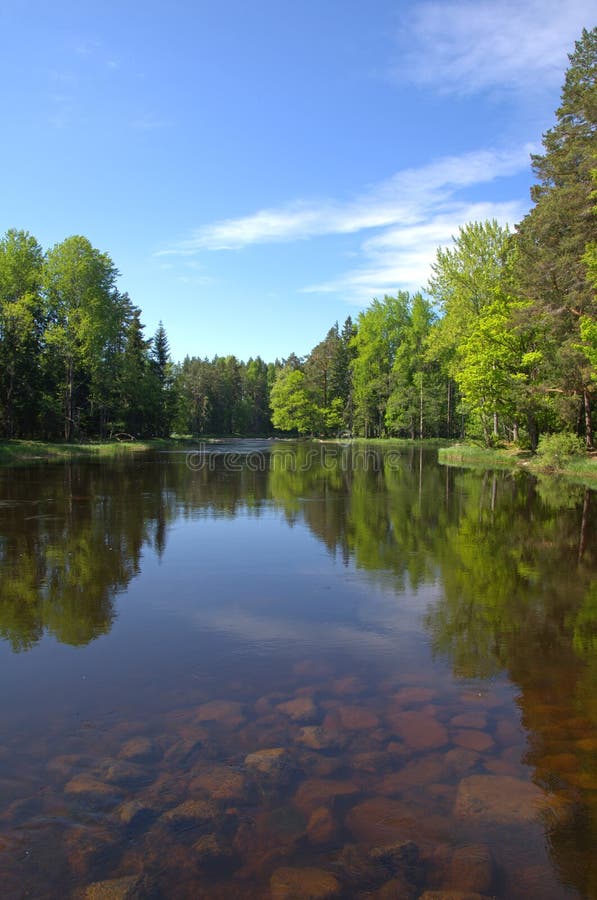 Swedish river stock photo. Image of serene, country, nature - 31319762