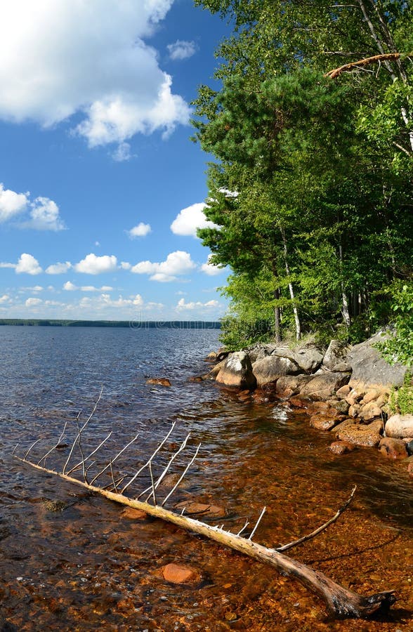 Swedish summer lake stock photo. Image of islands, crystal - 20342252