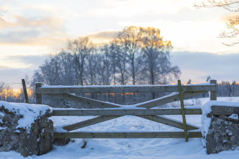 Swedish Winter countryside stock image. Image of snow - 233646783