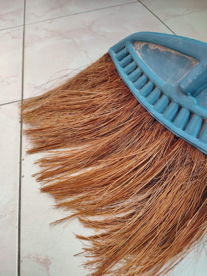 Sweep the Brown Palm Fiber Floor with Blue Fiber while Sweeping the ...