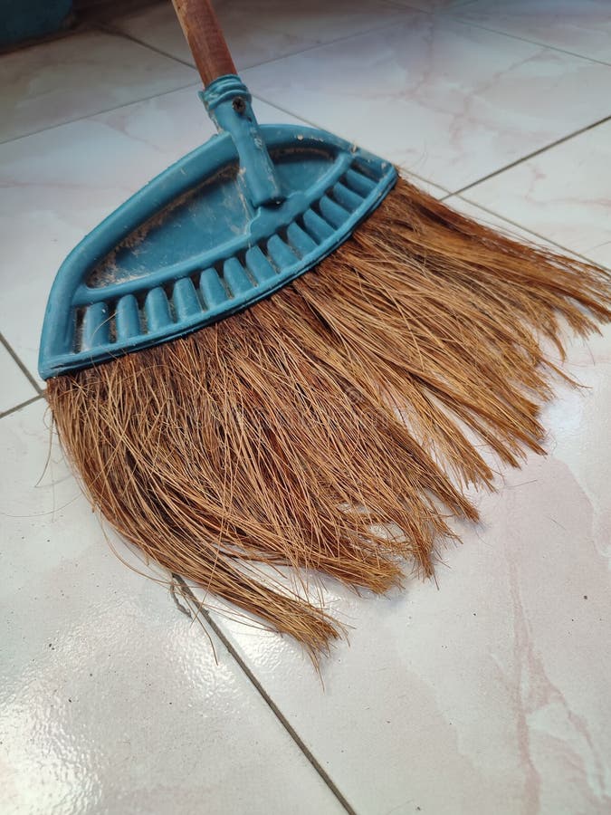 Sweep the Brown Palm Fiber Floor with Blue Fiber while Sweeping the ...