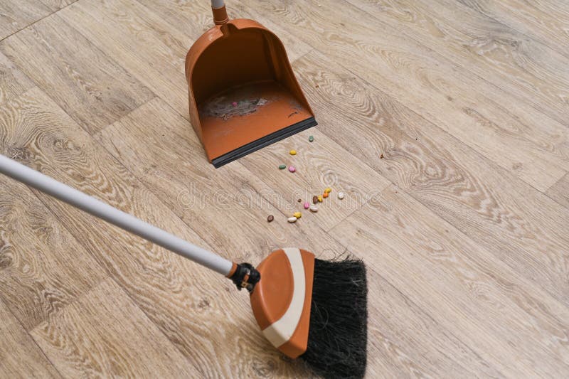 Sweep the Garbage with a Brush into a Dustpan. Tools for Cleaning the ...