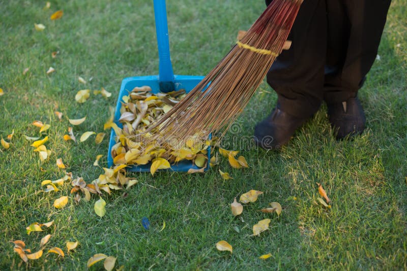 Sweeping Leaves in the Grass Stock Photo - Image of outdoors, fall ...