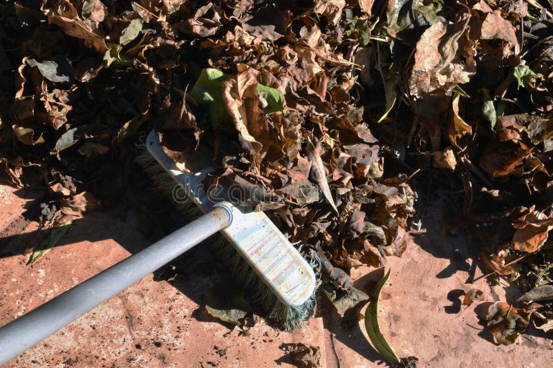 Sweeping the Leaves on the Ground. Stock Image - Image of housework ...