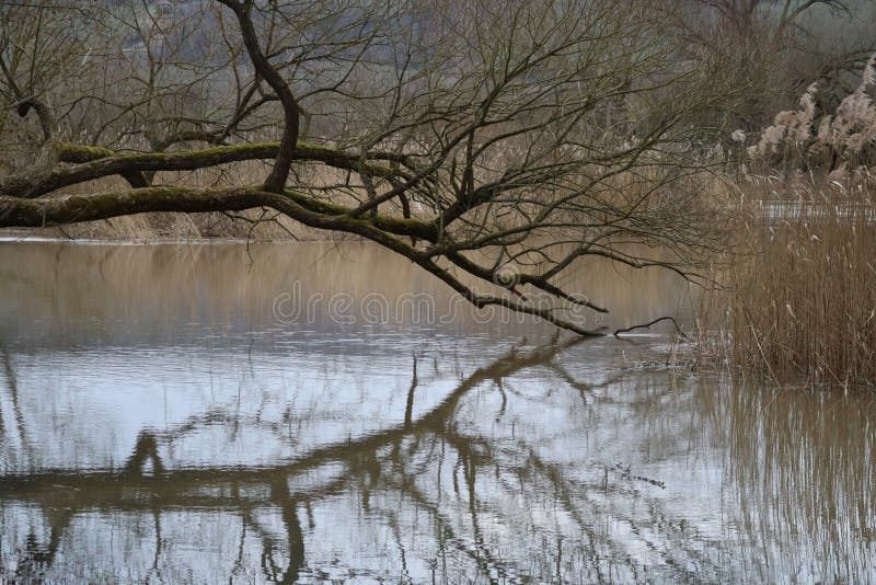 Sweeping stock image. Image of spot, idyllic, projecting - 271780787