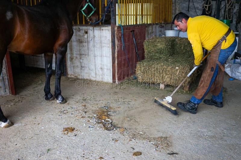 Sweeping the work area stock image. Image of pasture - 369954259