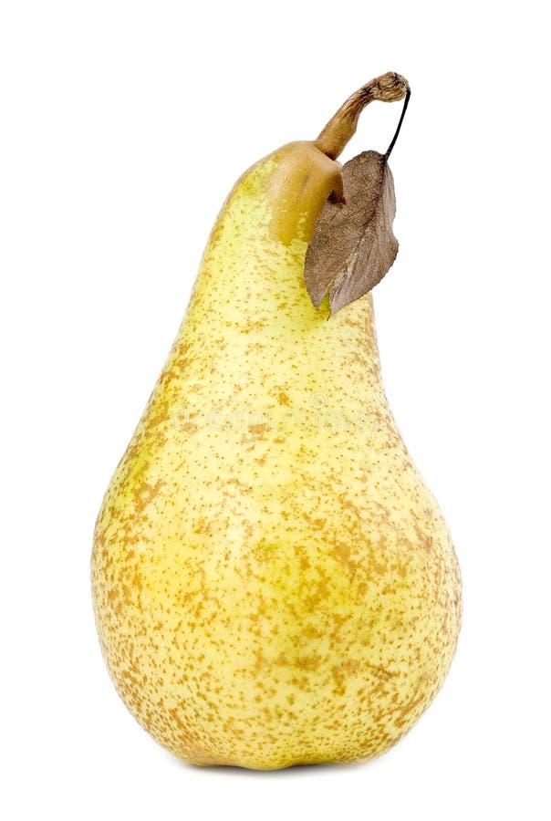 Sweet Abate Pear stock photo. Image of white, fruit, yellow - 11614028