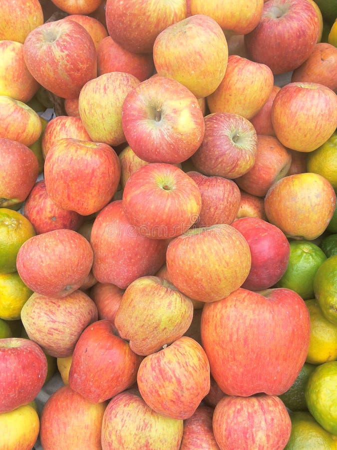 Sweet apples stock image. Image of fruit, fruits, sweet - 61693451