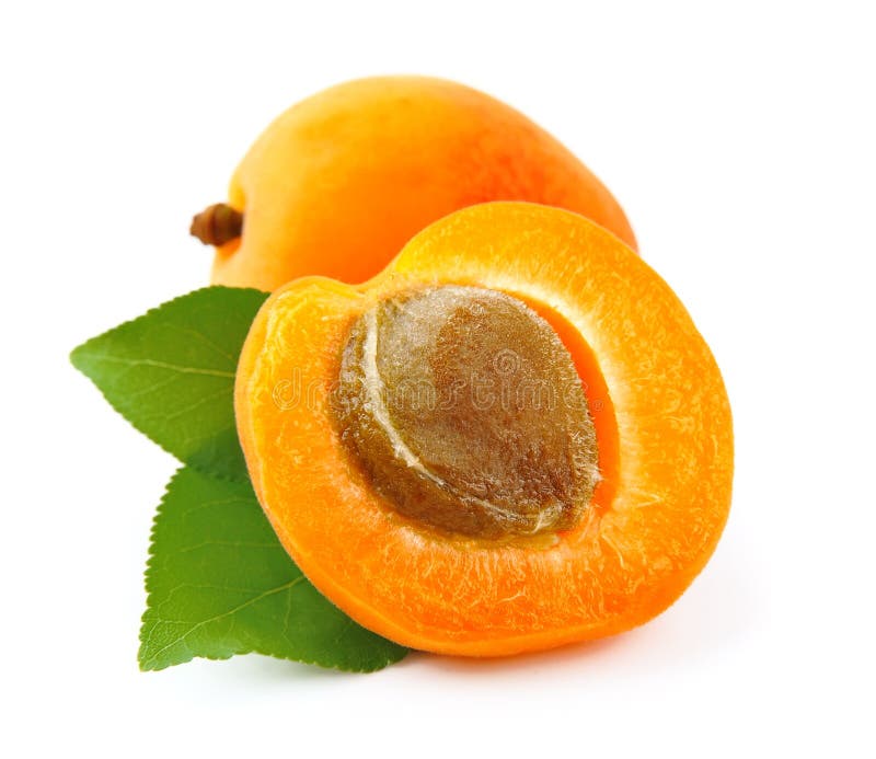 Sweet apricots fruits stock image. Image of nutrition - 31153565