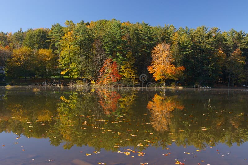Sweet Arrow Lake stock photo. Image of relax, water, reflect - 1385062