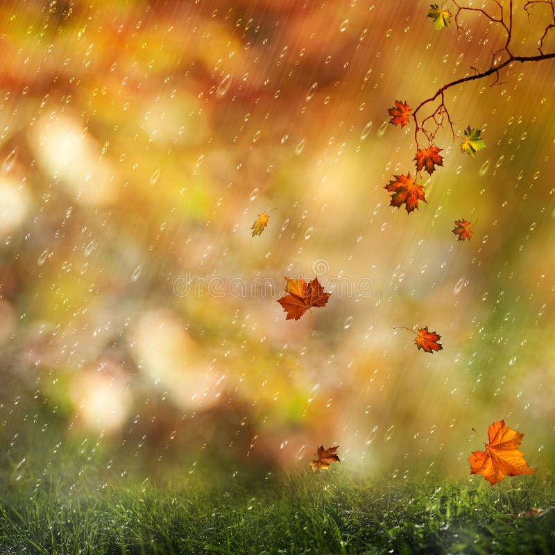 Sweet Autumn Rain On The Meadow Stock Illustration - Illustration of ...