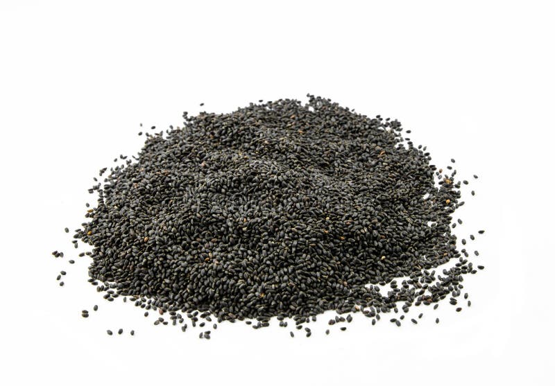 Ocimum Canum Sims Stock Photos - Free & Royalty-Free Stock Photos from ...