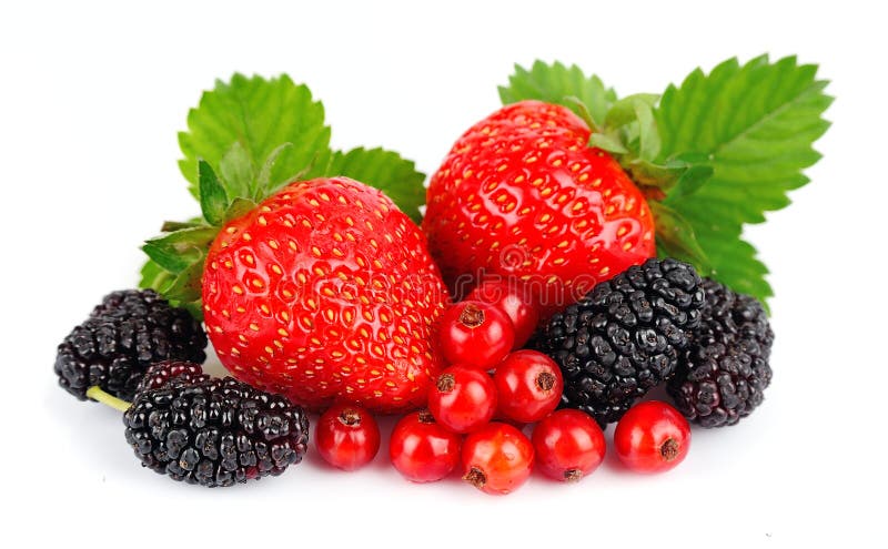 Sweet berry stock image. Image of berry, healthy, current - 28889463