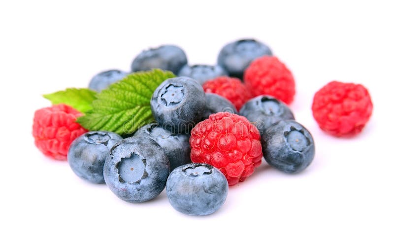 Sweet berry stock image. Image of berry, healthy, current - 28889463