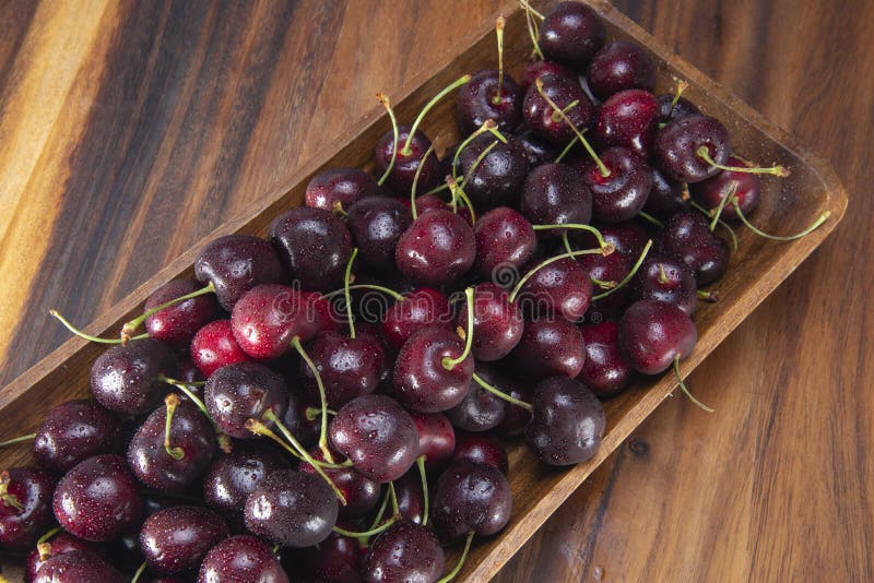 Sweet bing cherries stock photo. Image of branches, bright - 188469558