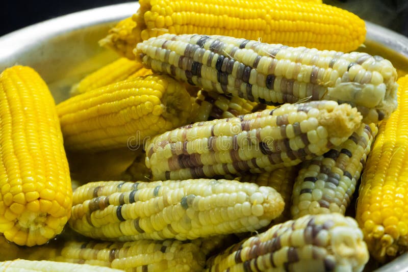 Sweet Boiled Corn of Different Varieties Close Up Stock Image - Image ...