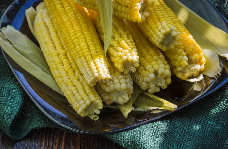 Sweet, Boiled, Young Corn on a Plate Stock Image - Image of fresh ...