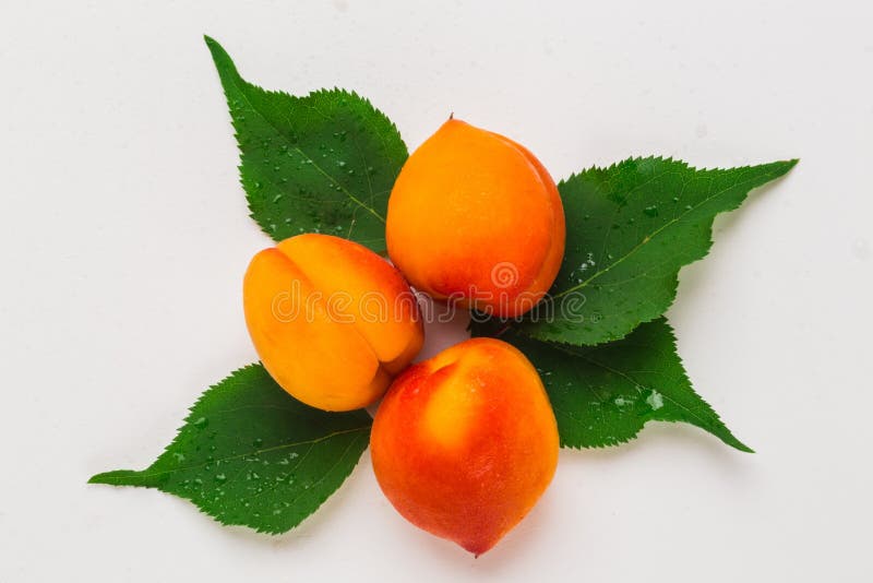Sweet Bright Apricots with Leaves on a White Background Stock Image ...