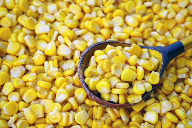 Sweet Canned Corn in a Wooden Spoon Stock Photo - Image of grain, cook ...