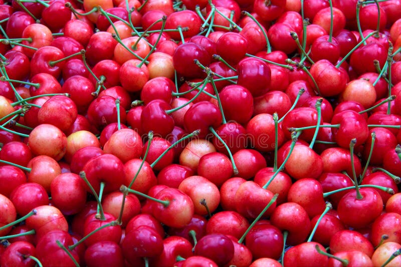 Sweet cherries stock image. Image of heap, gourmet, food - 19997047