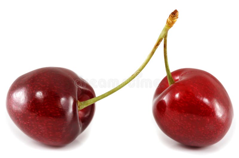 Two Fresh Cherries Connected by a Single Stem. the Cherries are Bright ...