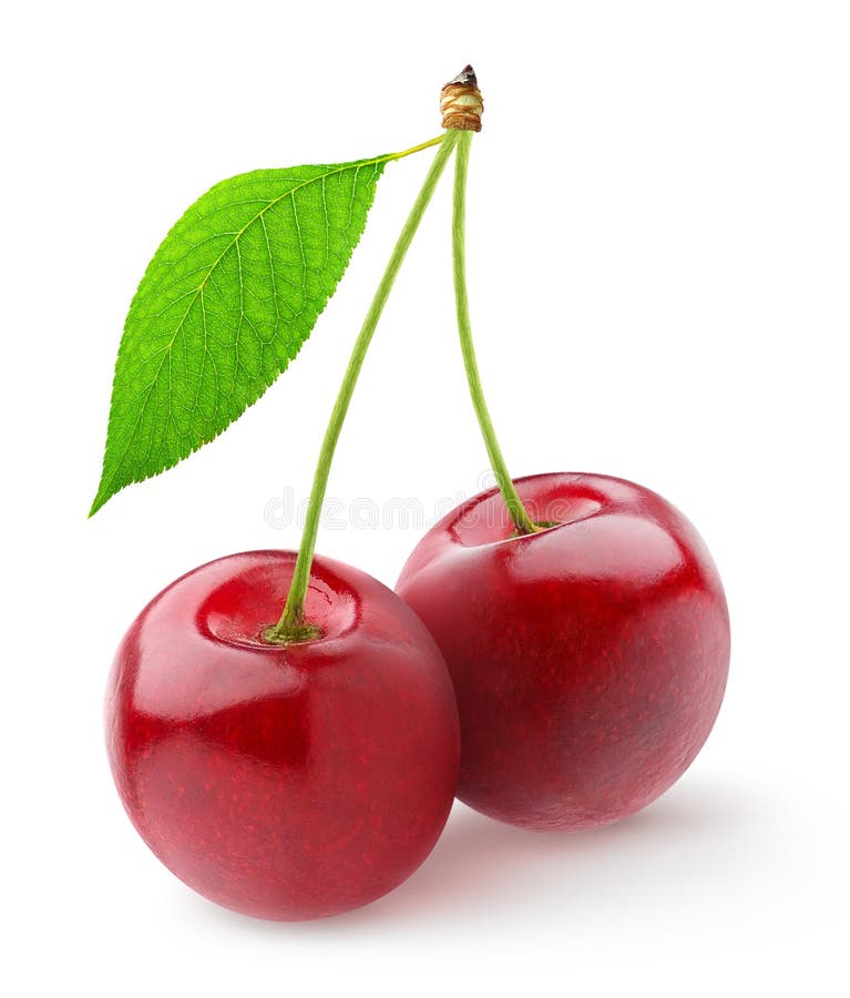 Sweet cherry with leaves stock photo. Image of sweet - 44064854