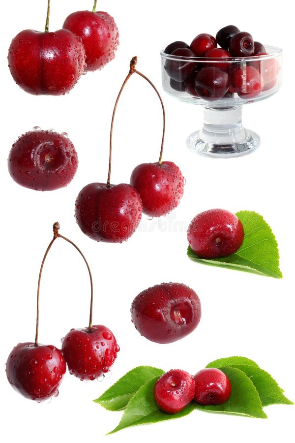 Sour cherry stock photo. Image of cherry, summer, drop - 951158