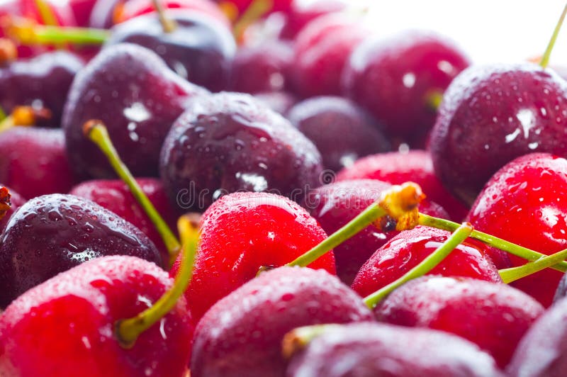 Sweet cherry stock photo. Image of sweet, vegan, vegetarian - 12702802
