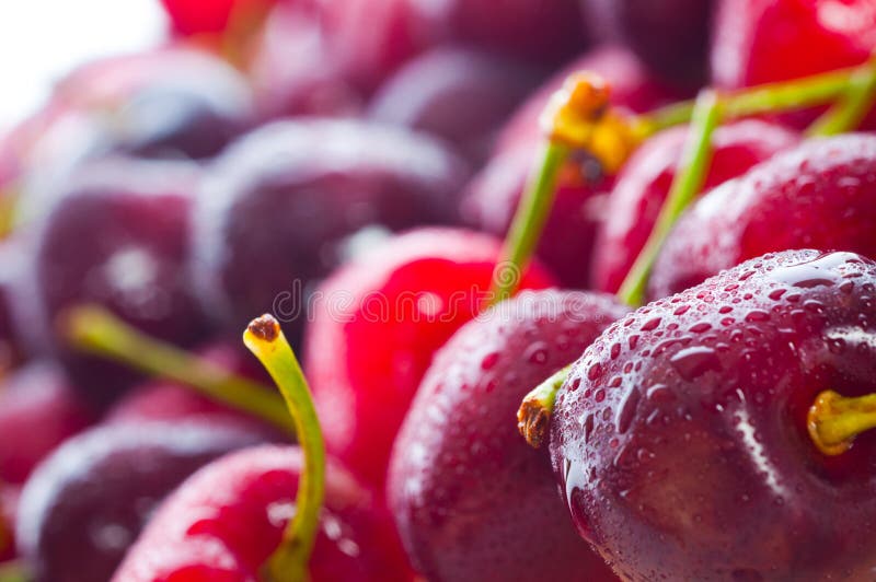 Sweet cherry stock image. Image of water, pure, berry - 12703049