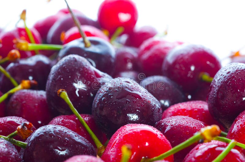 Sweet cherry stock image. Image of pure, dieting, isolated - 13116325