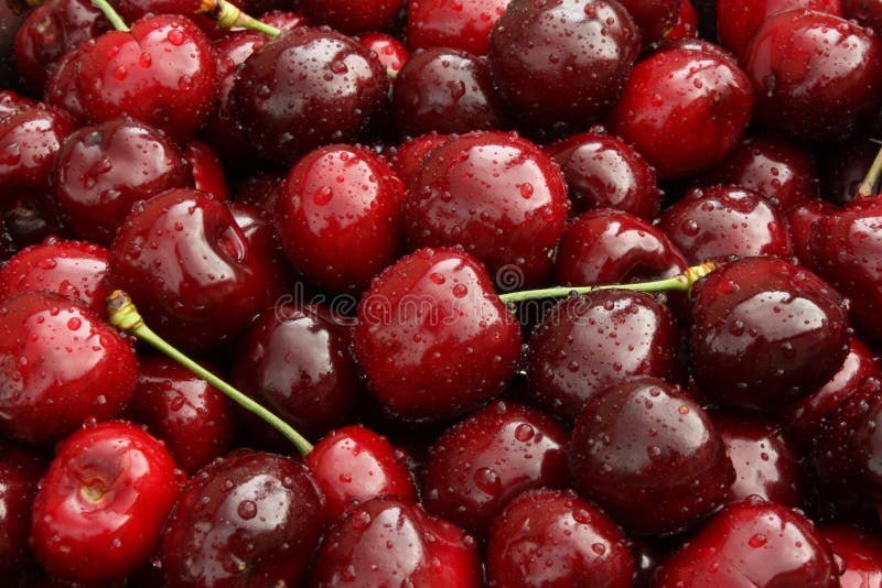 Sweet cherry stock photo. Image of fruits, organic, refreshing - 14538620