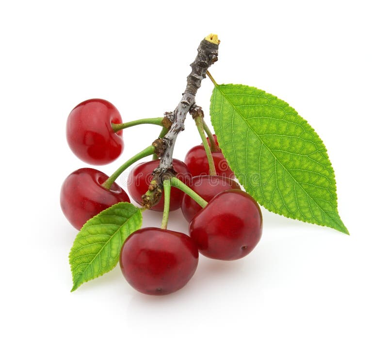 Sweet cherry stock photo. Image of healthy, leaf, summer - 14620710