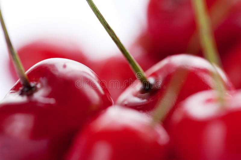One cherry stock photo. Image of fruit, stem, check, gingham - 10017166