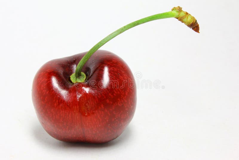 Sweet cherry stock photo. Image of frond, tasty, diet - 15332178