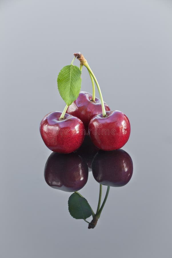 Sweet cherry stock photo. Image of delicious, cherries - 21304826