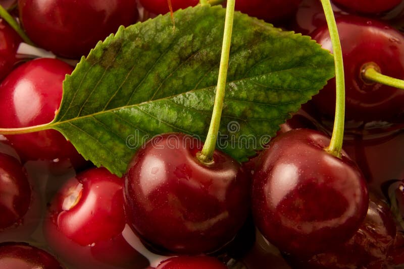 Sweet cherry stock image. Image of freshness, healthy - 5797075