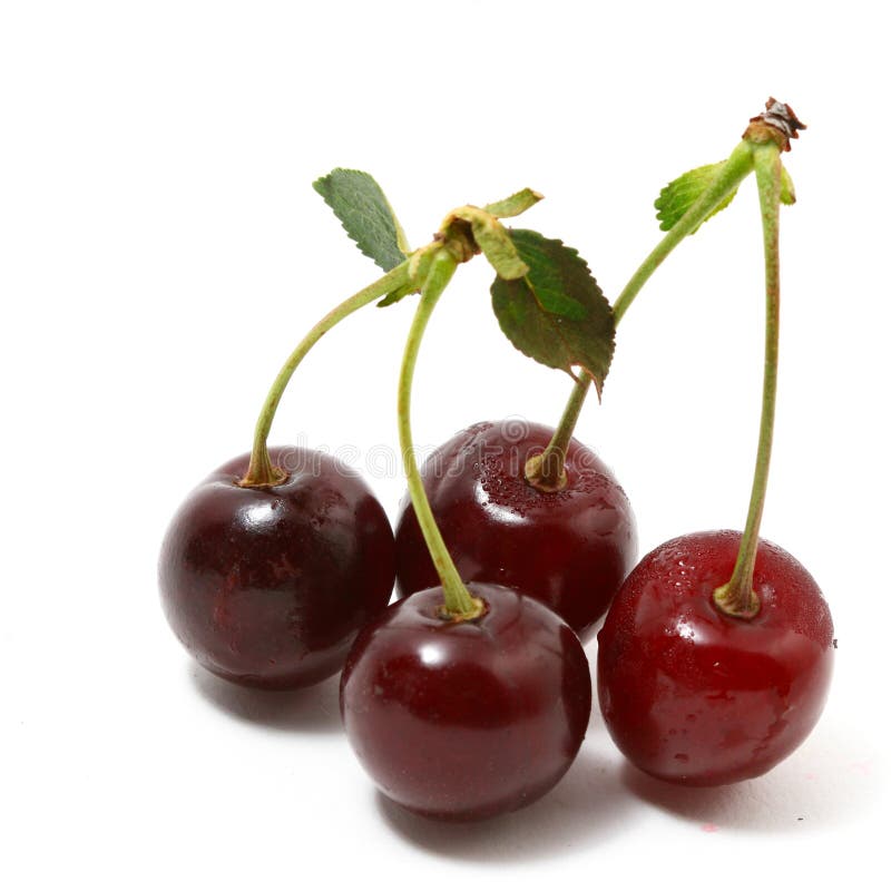 Cherries stock image. Image of stem, pile, fresh, cherry - 338687