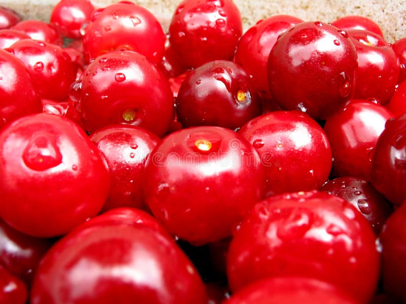 Sweet cherry stock image. Image of beautiful, gathering - 916137