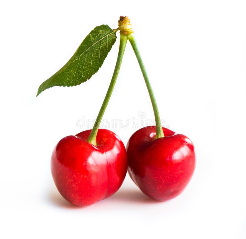 Cherry stock image. Image of sweet, mazzard, black, berry - 5590633