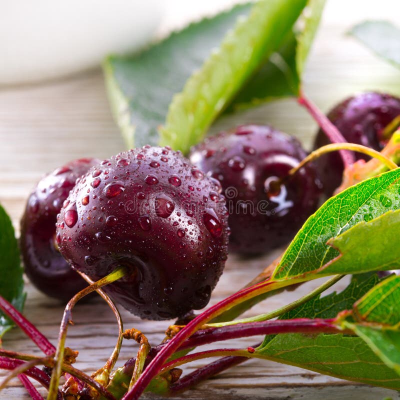 Sweet cherry stock photo. Image of cherry, diet, fruit - 32210858