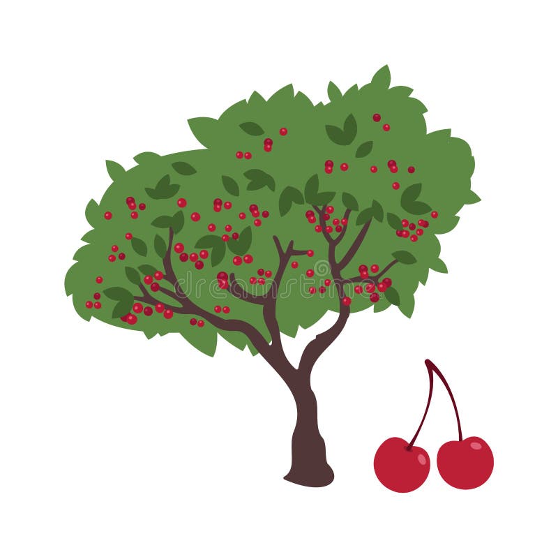 Sweet Cherry Fruit Tree Flat Icon Agriculture and Gardening Stock ...