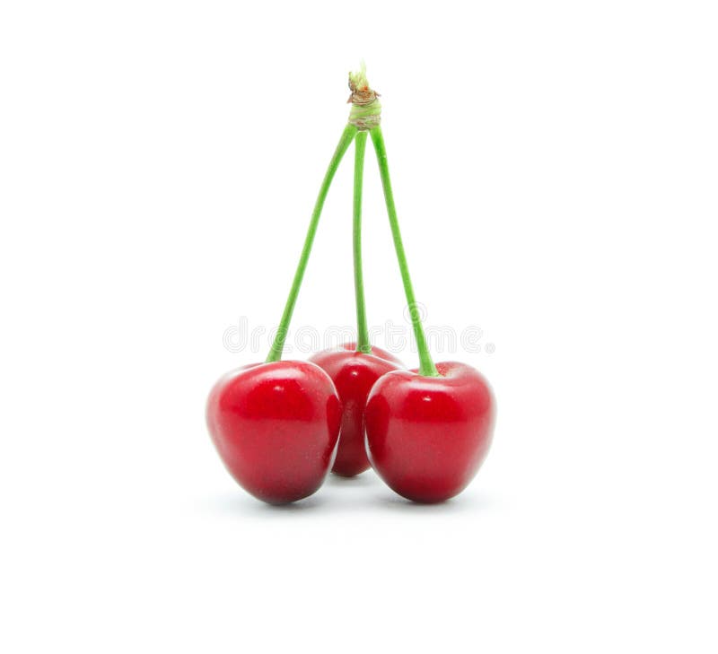 Sweet cherry stock photo. Image of berry, cherry, ripe - 77264670