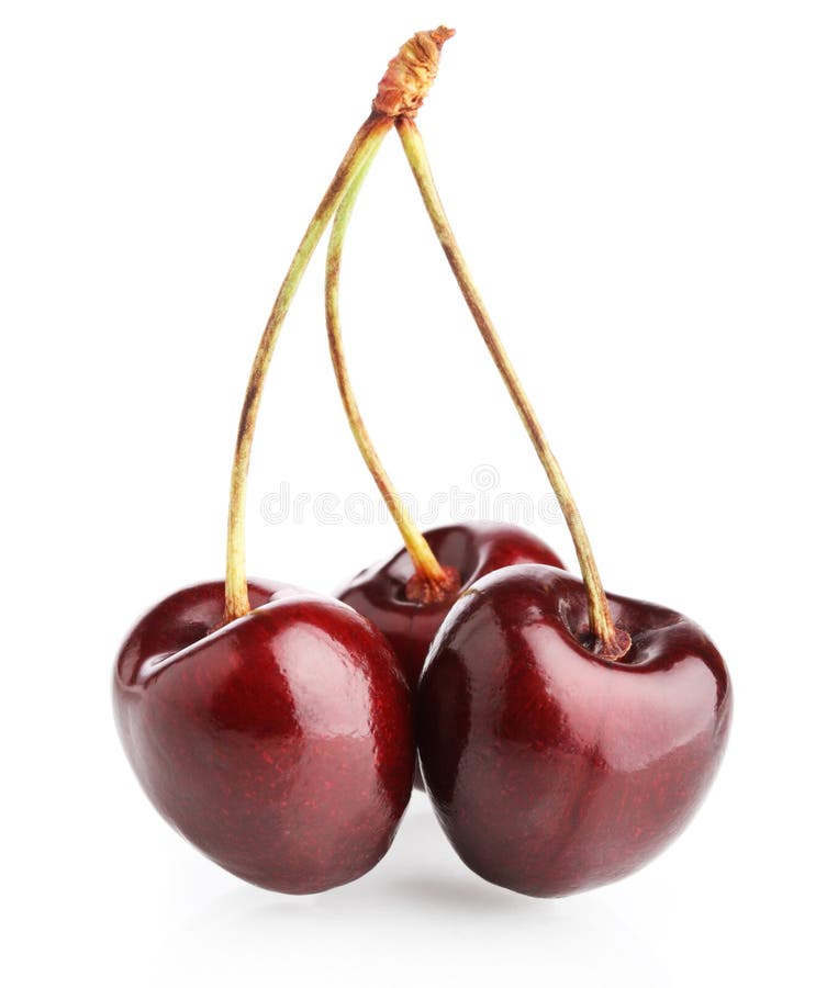 Sweet Cherry Isolated on White Background Stock Image - Image of ...