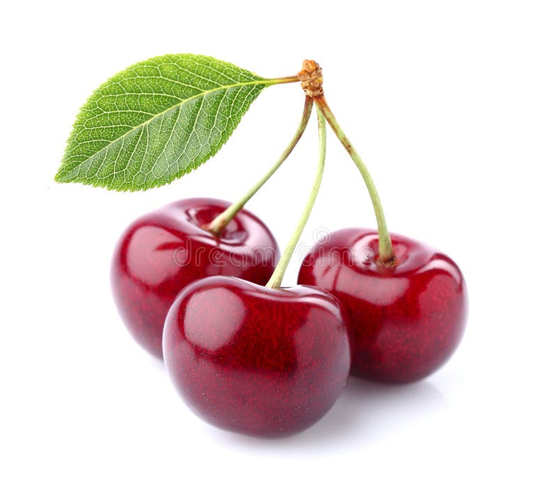 Sweet cherry with leaves stock photo. Image of sweet - 44064854