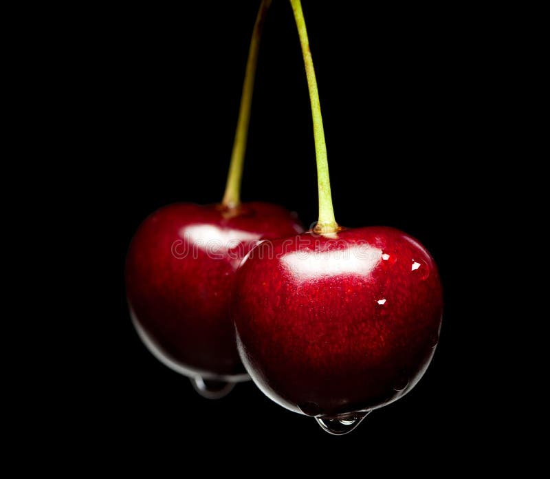 Cherry pair stock photo. Image of berry, love, taste - 19849024
