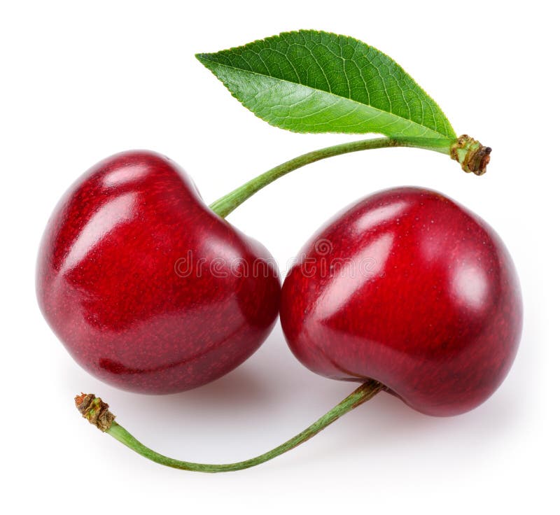 Sweet Cherry. Two Berries Isolated on White Stock Image - Image of ...