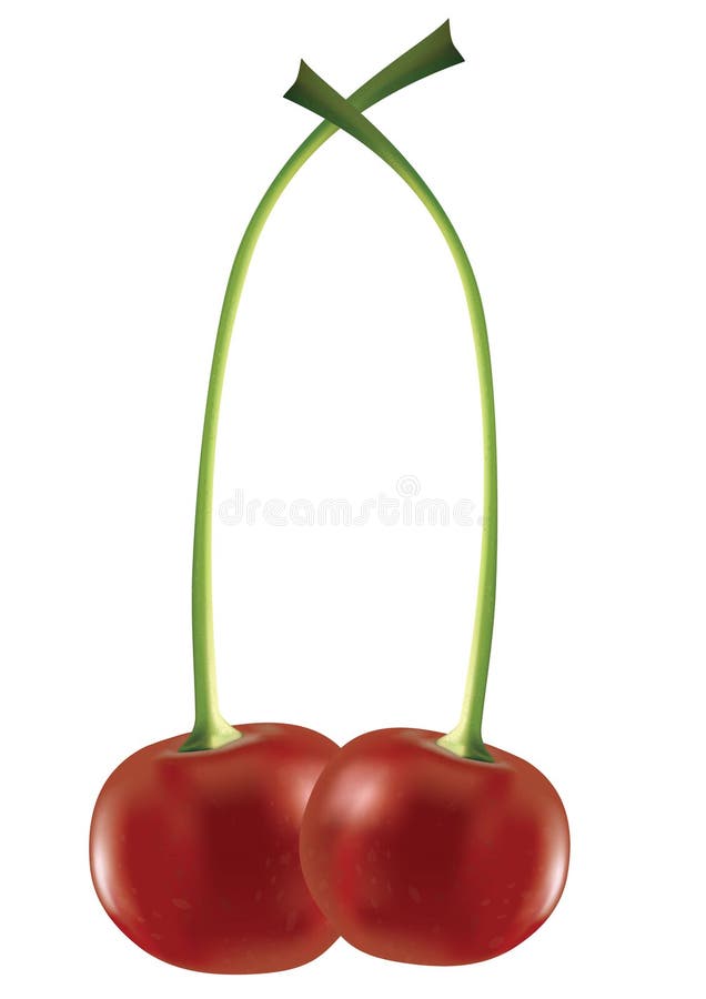 Cherry Cross Section Stock Illustrations – 92 Cherry Cross Section ...