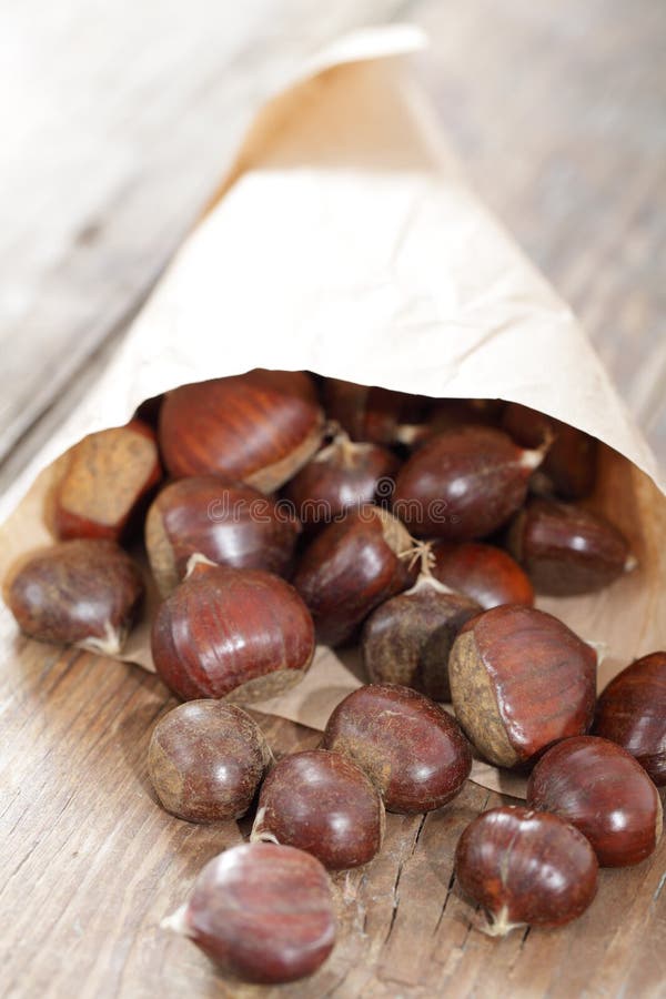 Sweet chestnuts stock photo. Image of october, green - 18742632